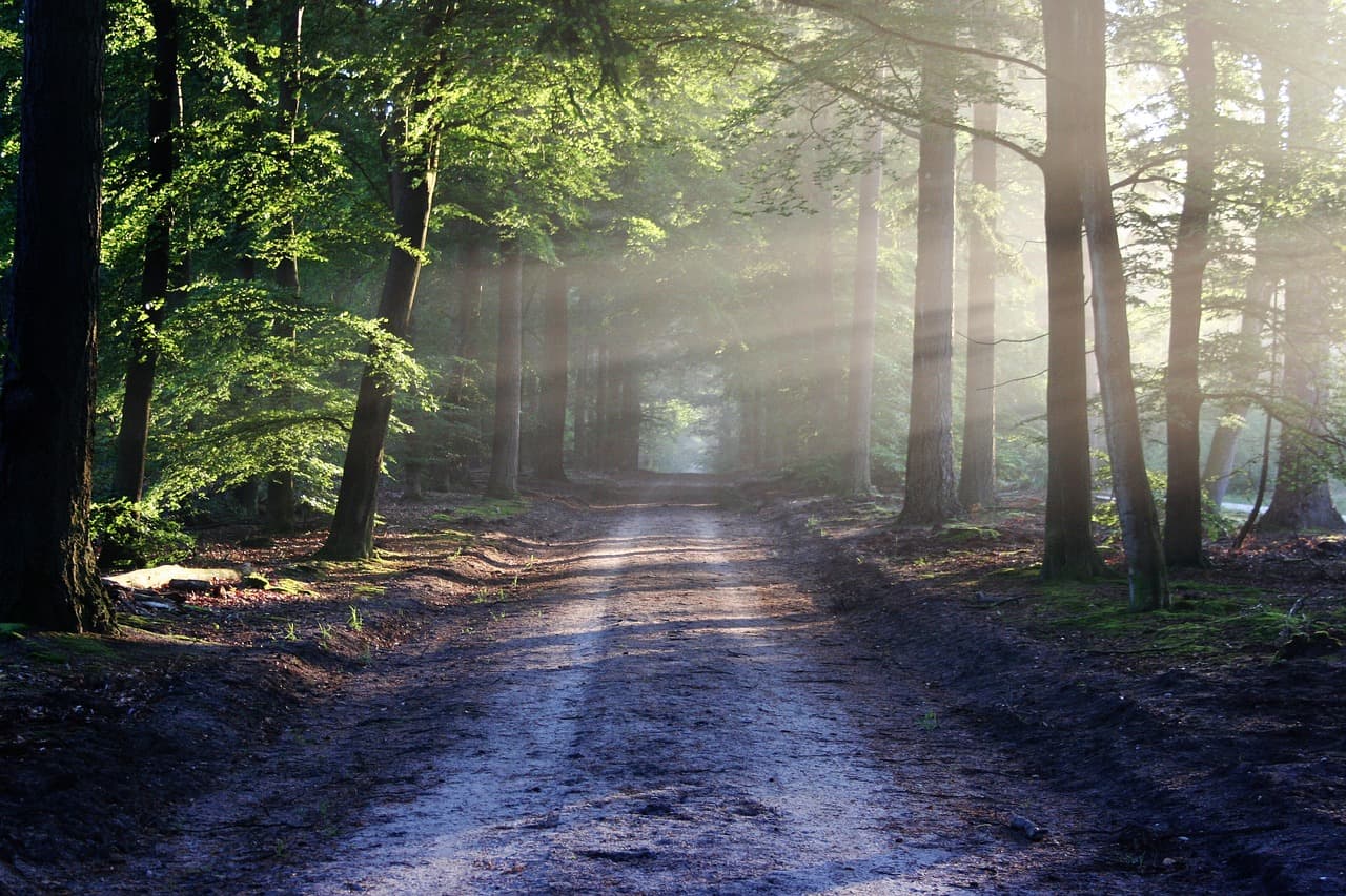 Kentucky Trail Guide: Find the Best Hiking Trails in Kentucky ...