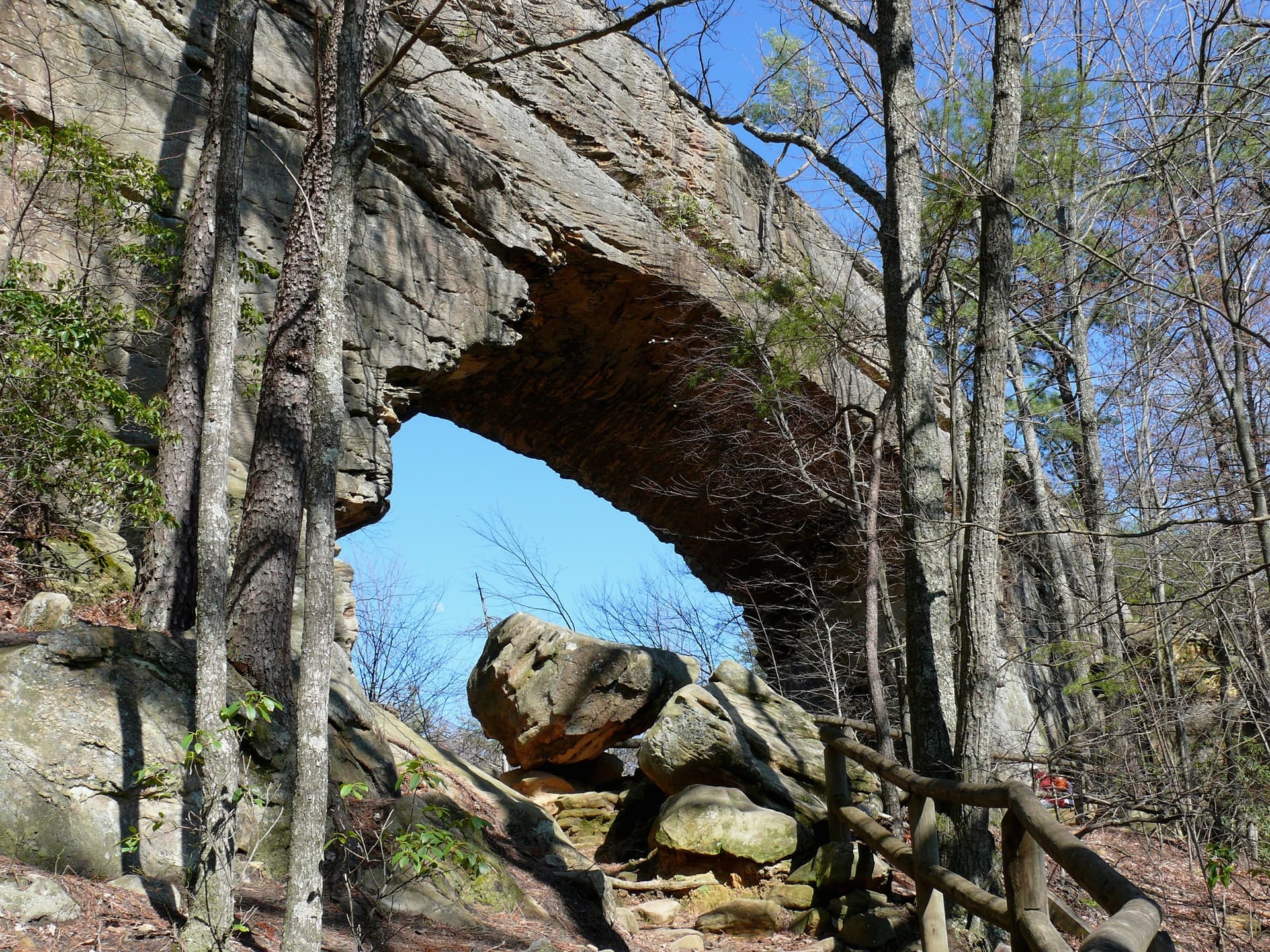 Trails at Natural Bridge State Resort Park, Kentucky | Kentucky Trail Guide