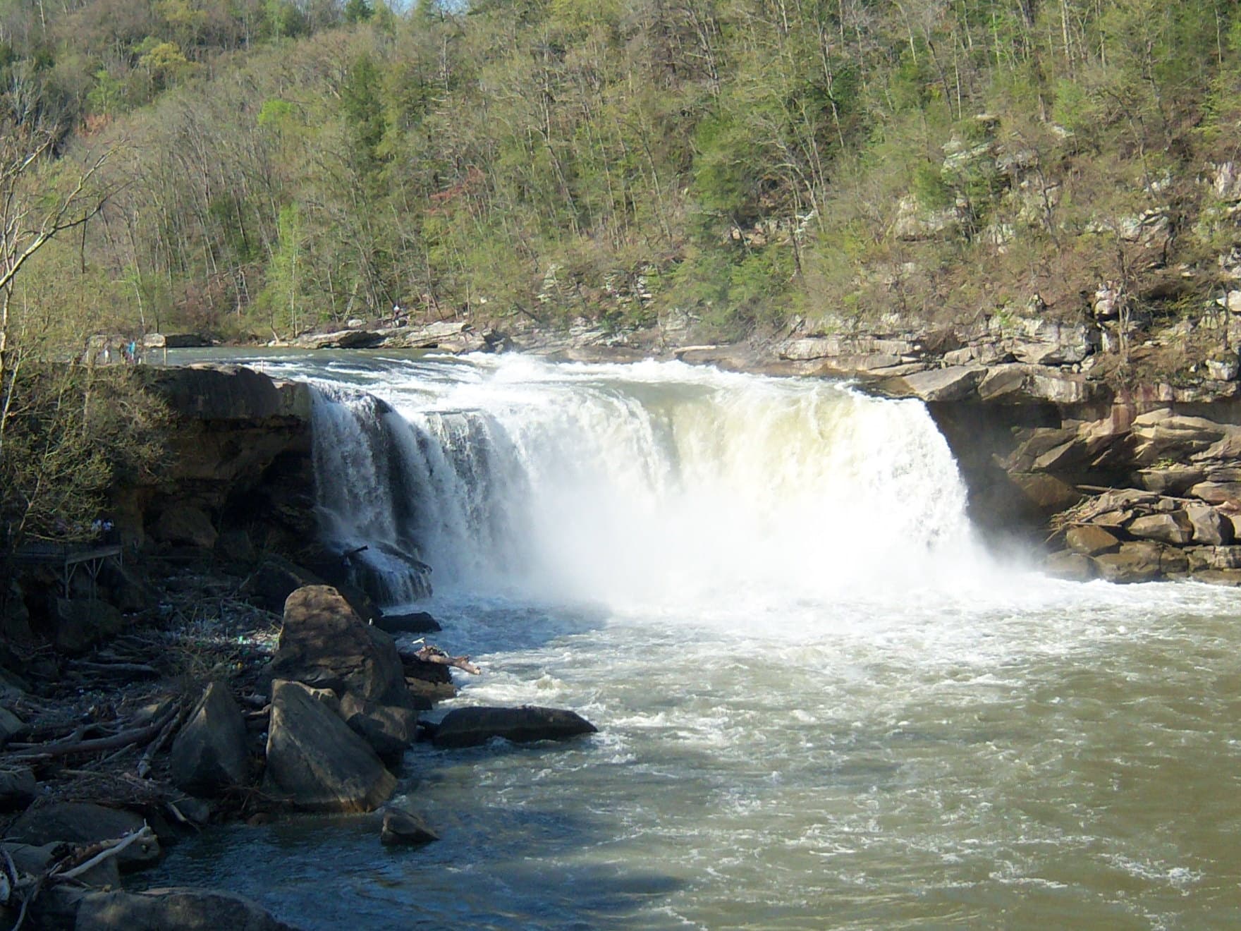 Kentucky Trail Guide: Find the Best Hiking Trails in Kentucky ...